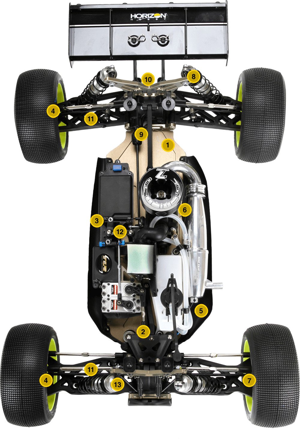 TLR 8IGHT 3.0 Buggy - House of RC
